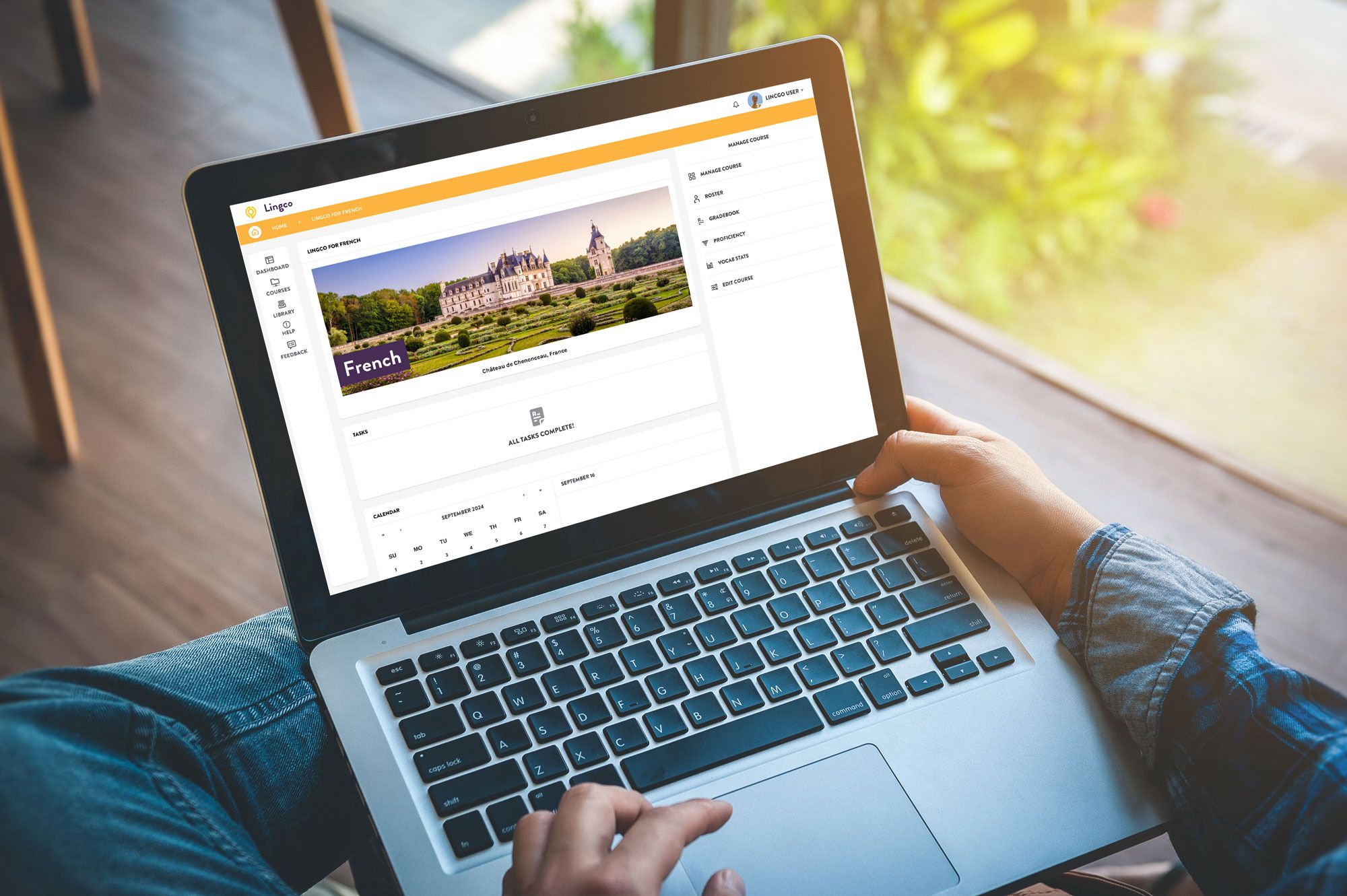Powerful Digital Tools | Lingco